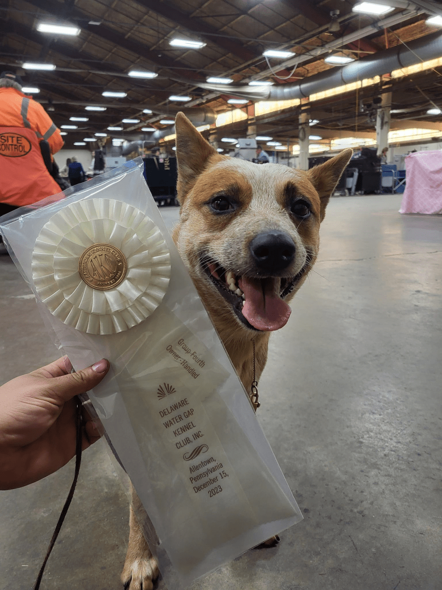 The Allentown Cluster – Clarjo Farms